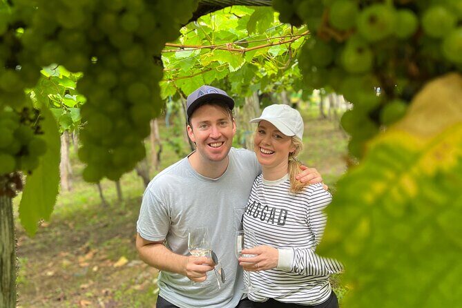 Coastal "Winery Camino Trail" Walking Tour from San Sebastian - A Deep Dive into the Itinerary