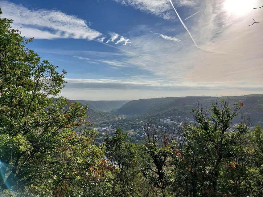 Cochem, Moselle: Wine experience hike with boat trip - Analyzing the Cost and Value