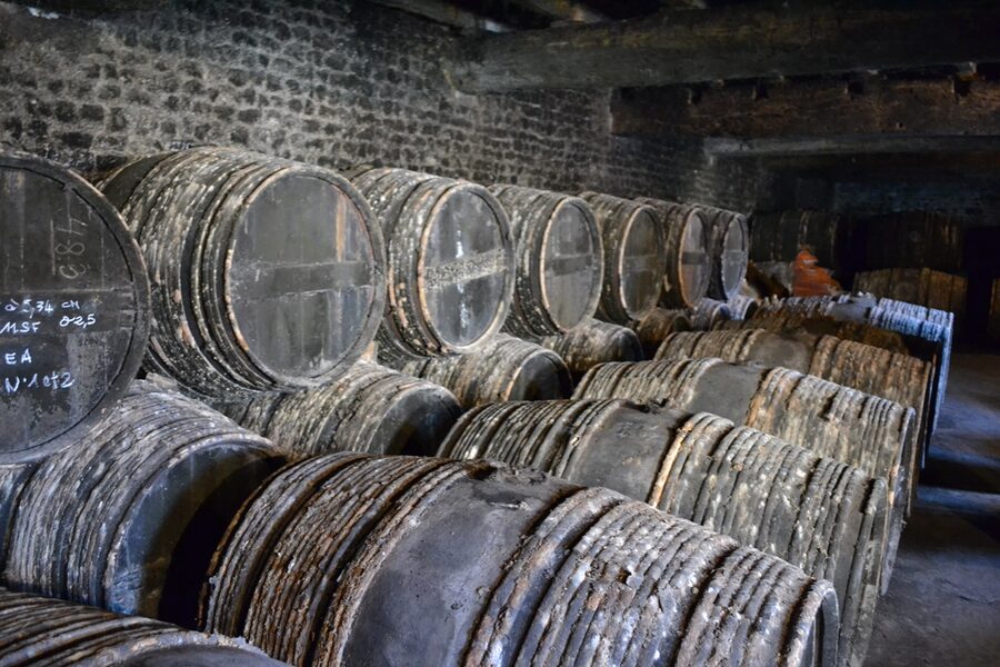 Frapin cognac aging cellar barrels Grande Champagne