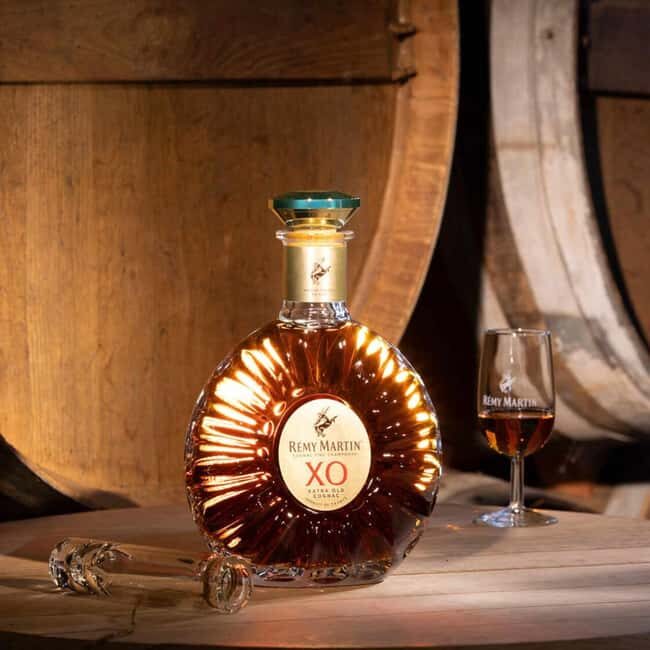 Cognac: Rémy Martin 300th Anniversary Tour - Who Will Enjoy This Tour?