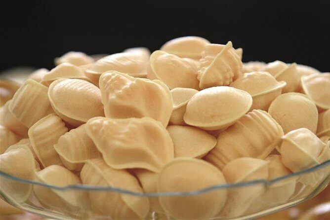 Coimbra & Aveiro Full Day Private Tour from Porto - Transportation & Practical Details