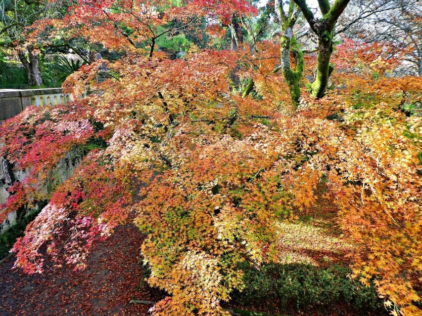 Coimbra: Discover the Charms and Highlights Walking Tour - Who Will Love This Tour?