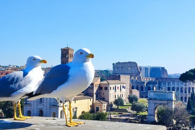Colosseum, Roman Forum & Palatine Hill - Group Tour - Overview of the Tour Experience