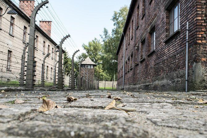 Combined: Auschwitz Birkenau and Salt Mine private chauffeur from Krakow - What You’ll Experience at Each Site
