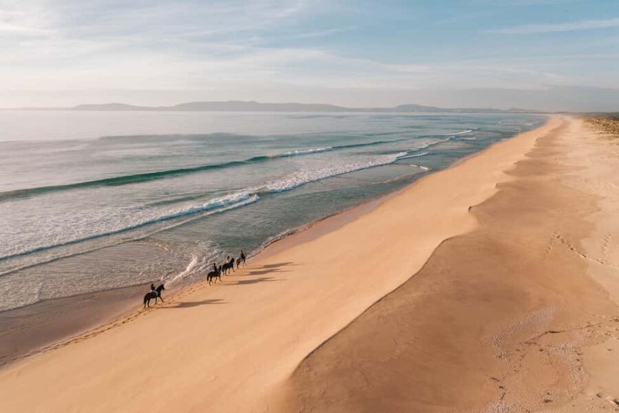 Comporta: Guided Horseback Riding Experience - Exploring the Itinerary and What to Expect