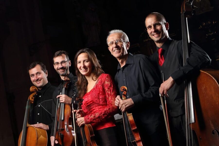 Concert in the Rudolfinum - MOZART, VIVALDI, SMETANA - Who Should Consider This Experience?