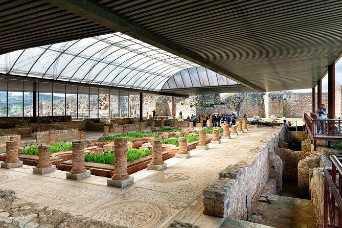 Conímbriga Roman Ruins & Museum | Private Tour - Final Thoughts: Is This Tour Right for You?