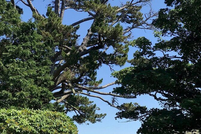 Connemara, Kylemore Abbey and Wild Atlantic Way tour from Galway - Scenic Routes and En Route Highlights