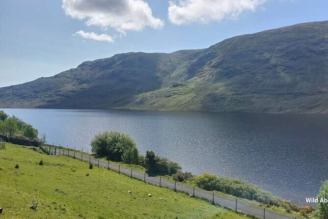 Connemara Sheep Farm experience & Kylemore Abbey by Lux Limousine - Who Will Love This Tour?