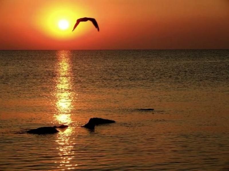 Constanta: Full Day Tour from Bucharest to the Black Sea - Who Will Love This Tour?