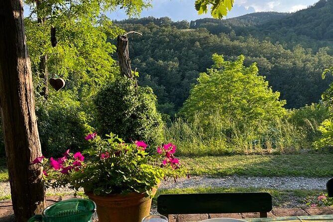 Cooking Class for Pasta Lovers in Florence Country House - Who Will Love This Experience?