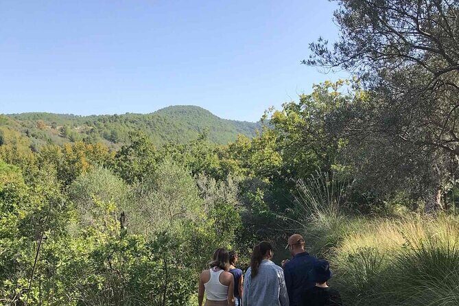 Cooking class in the countryside with Simona - Final thoughts
