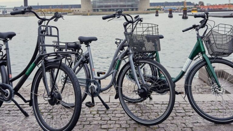 Copenhagen E-Bike Rental - Who Should Consider This E-Bike Rental?