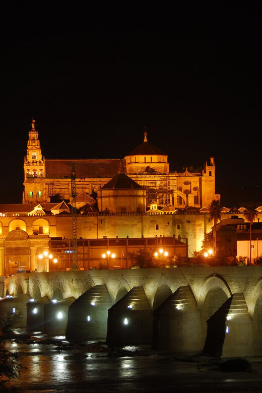 Cordoba at Night by Bike, Electric Bike - Is This Tour Right for You?