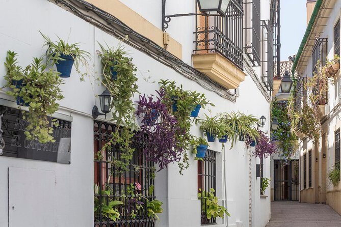 Cordoba Full Day Trip with Mosque Entrance from Malaga - Who Would Love This Tour?