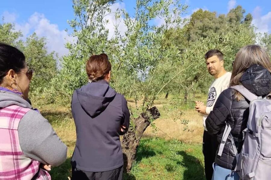 Córdoba: Visit a family organic olive grove with tasting - Who Will Love This Tour?