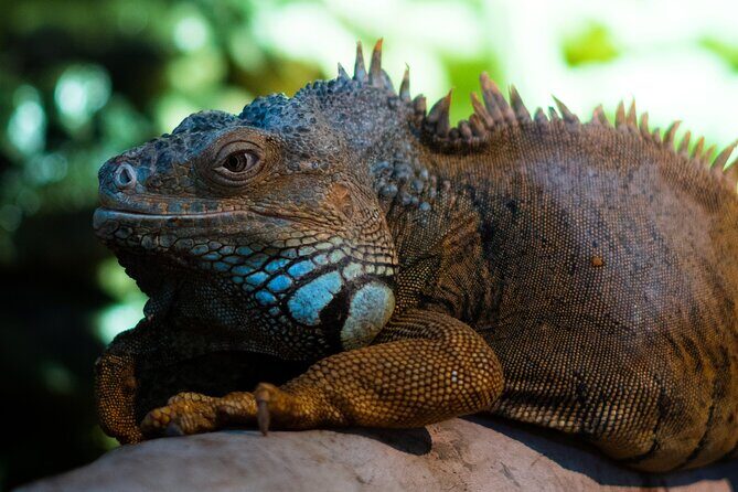 Corfu Aquarium Ticket with Tour Included - Price and Value