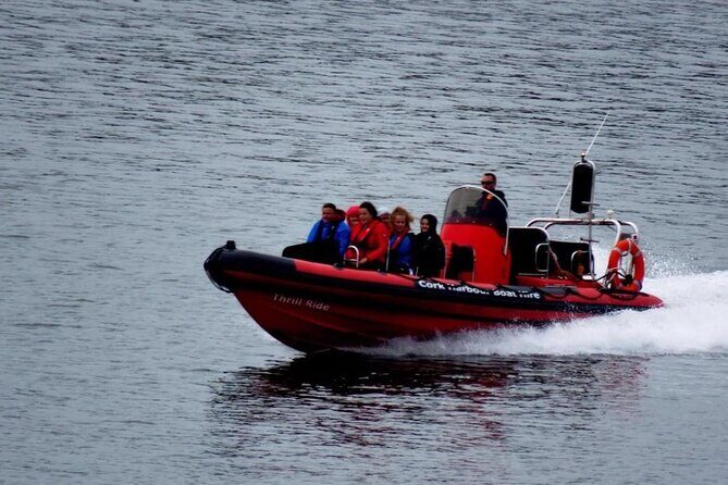 Cork Harbour RIB Tour - The Authenticity and Value of the Experience