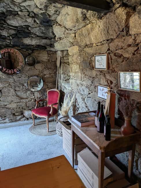 Corsica: Organic wine tasting - Why This Tour Works Well