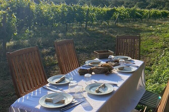 Corsican Wine Tasting & Picnic in Balagne - What to Expect and Why It’s Worth It