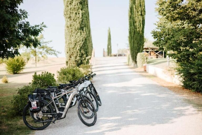 Cortona: Val di Chiana E-Bike Tour with Optional Wine Lunch - A Perfect Balance of Scenery, Culture, and Comfort