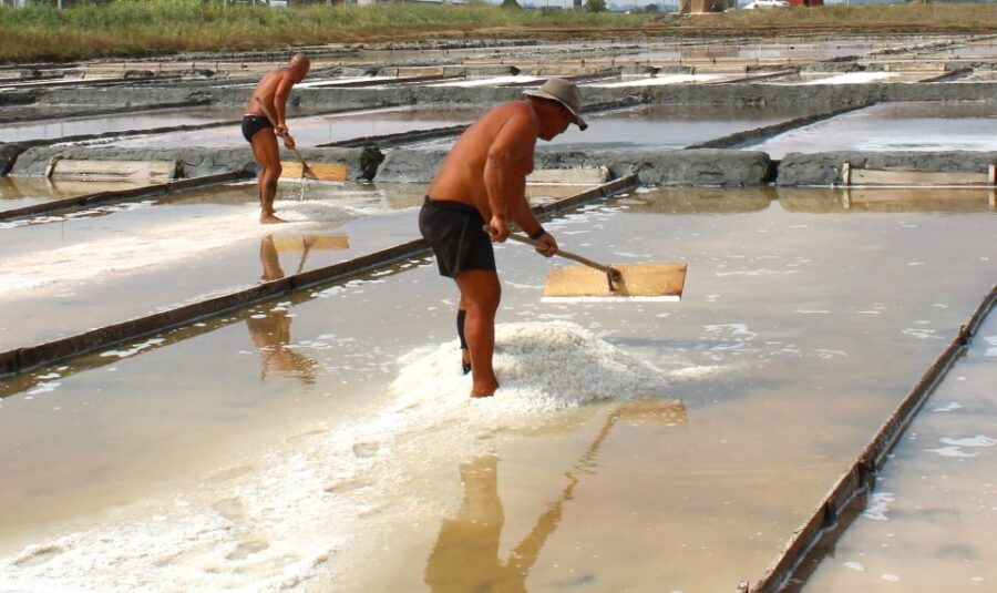 Costa Nova and Barra Beach Tour - Is This Tour Worth It?