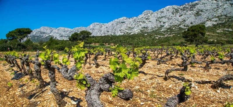 Coteaux d'Aix: Ste Victoire Wine Tour - Final Thoughts: Is It Worth It?