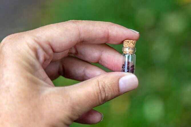 Countryside, Czech Garnet Panning, Farm,Lunch&Beer 4WD Adventure - Who Is This Tour Best For?