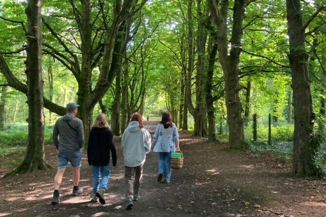 Courtown Woodland Guided Tour - Deepening Your Experience: Why This Tour Is Worth It