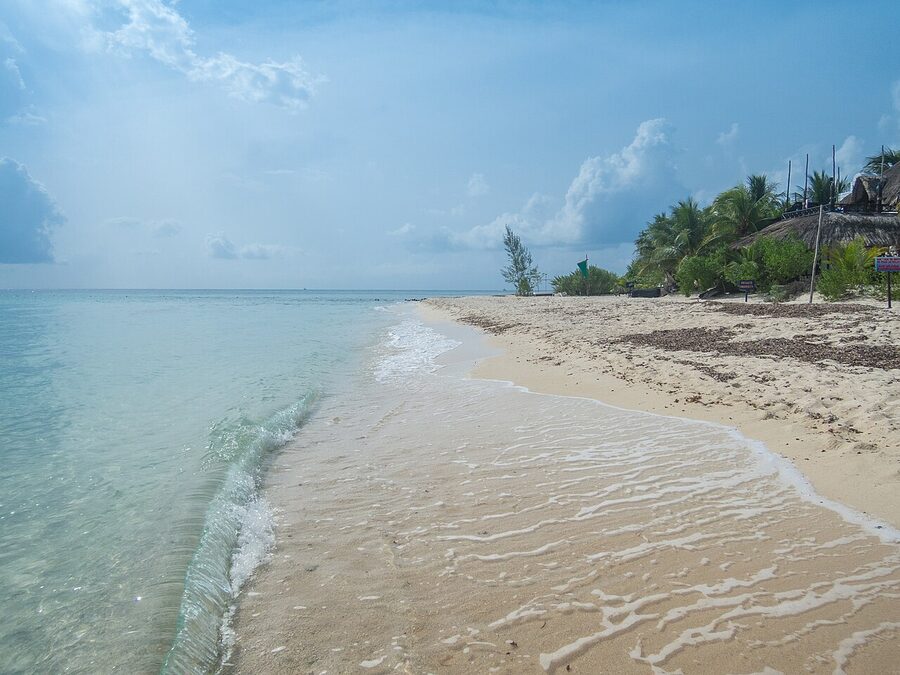 Palancar Beach Cozumel with white sand and palm trees