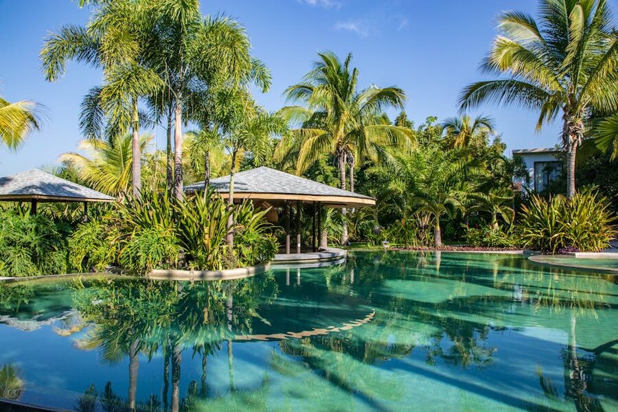 Swimming pool surrounded by palm trees at a tropical resort