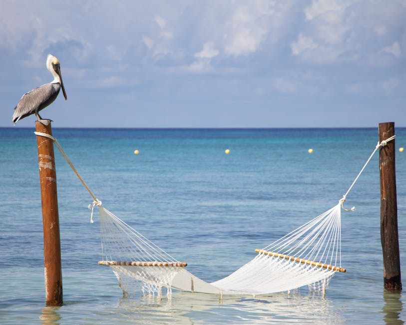 Hammock strung between poles over calm turquoise water with a pelican watching from nearby in Cozumel