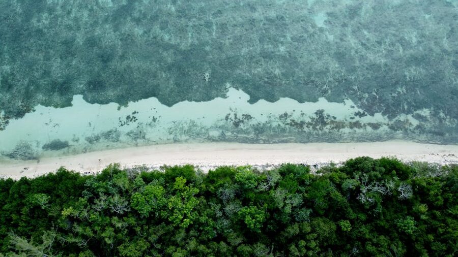 Aerial view of San Miguel de Cozumel coastline with turquoise water