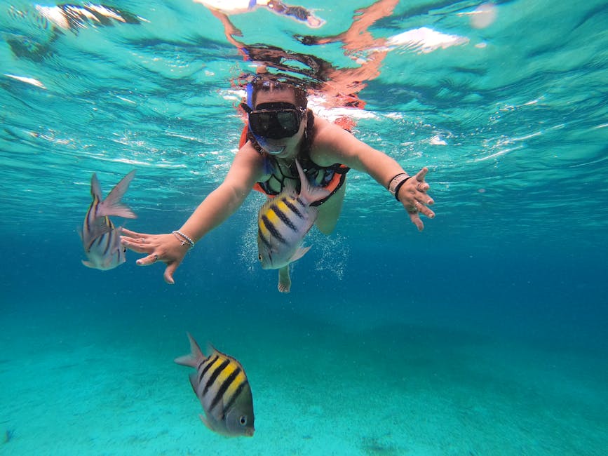 Snorkeler underwater with tropical sergeant major fish in Cozumel waters