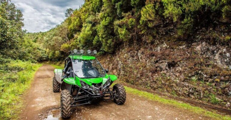 Crete buggy safari - What Makes This Tour Stand Out