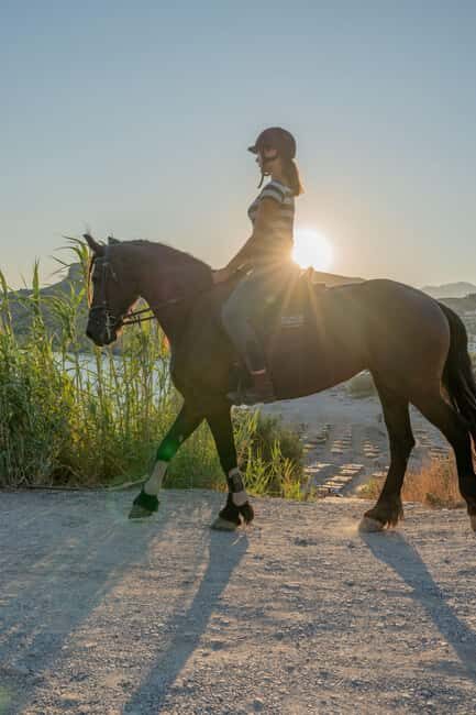 Crete Horse Riding: East Coastline Ride - What You Can Expect During the Ride