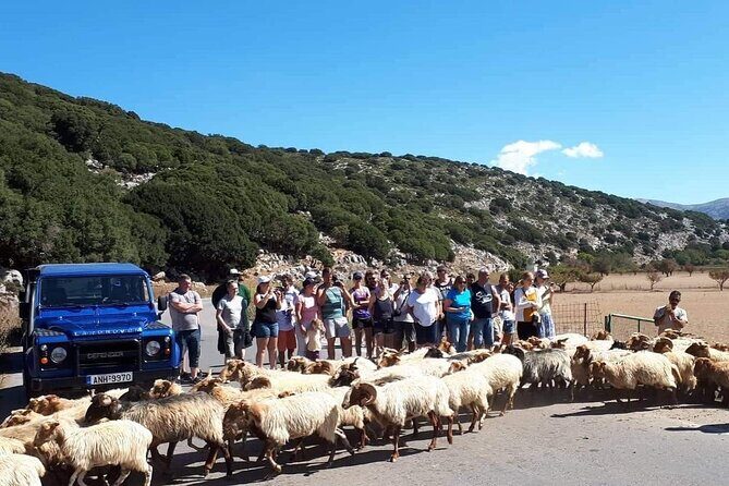 Crete: Tripitis Gorge South Crete Guided Jeep Safari - What We Love About This Tour