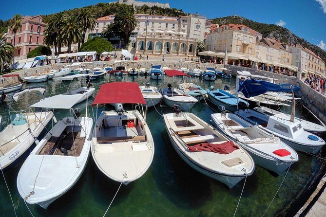 Croatia Island Hopping: Dalmatian Odyssey from Dubrovnik (8 days) - Final Thoughts: Is This Tour for You?