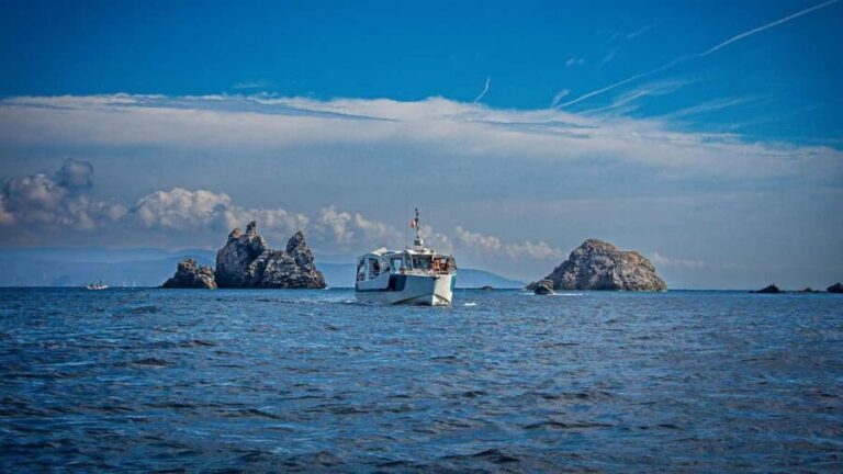 Cruise of the 2 Islands: Porquerolles & Port-Cros with stops - What the Reviews Tell Us