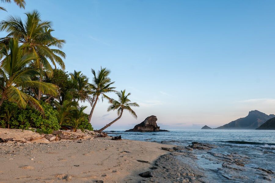 Sunrise palms on Kuata Island, Fiji
