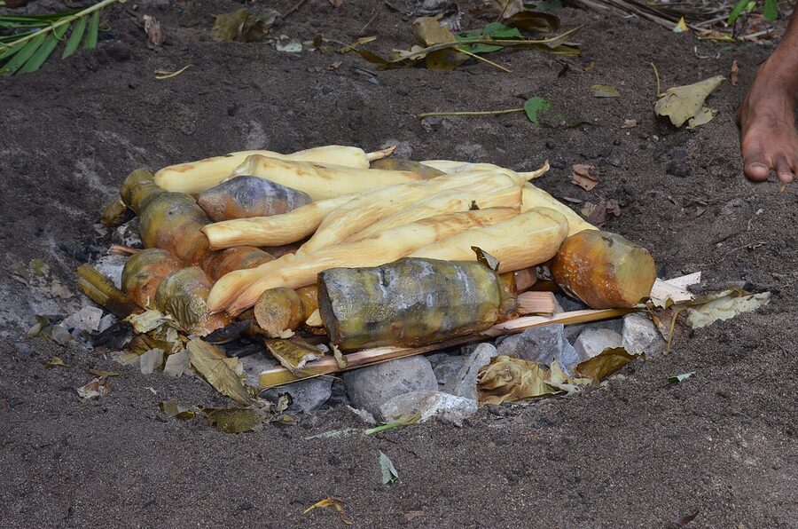 Traditional Fijian lovo earth oven feast
