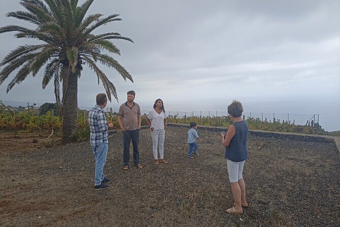 Custom Private Tenerife Full Island VIP Tour - photos included - Who Will Love This Tour?