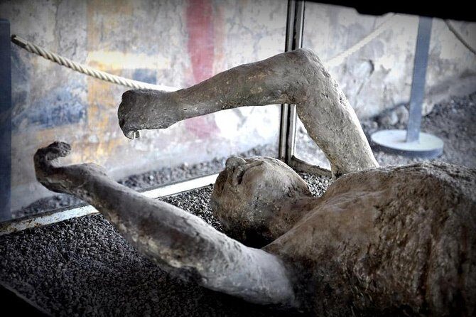 Customizable Private Tour of Herculaneum & Pompeii - Wine Tasting & Lunch: A Highlight for Many