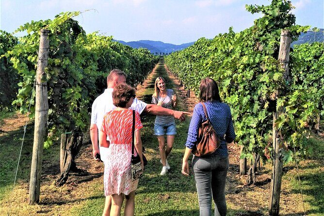 DA Padova: Wine tour in the Euganean Hills - FAQ