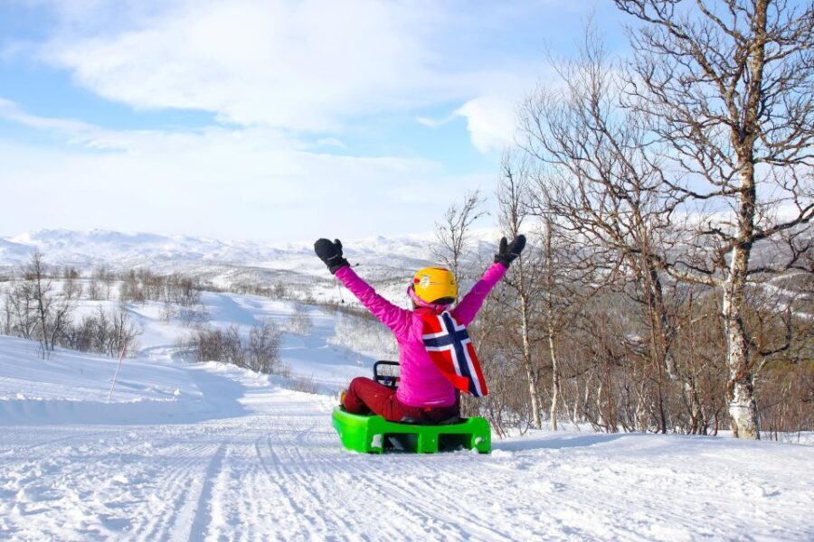 Dagali: 2-Hour Racing Toboggan Adventure - Who Will Love This Tour?