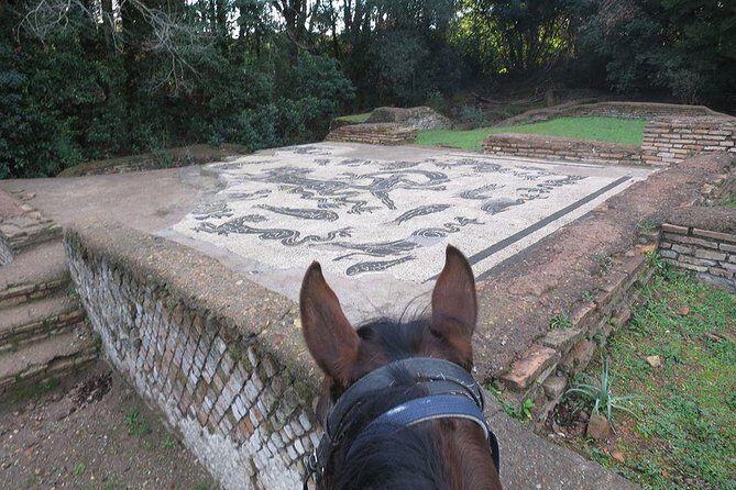 Daily out of Rome : Horseback ride with meals & wine included - Practical Details that Matter