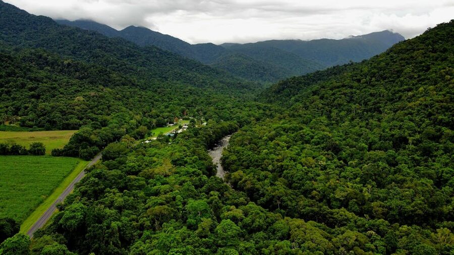 Aerial view of rainforest and a winding river near Cairns