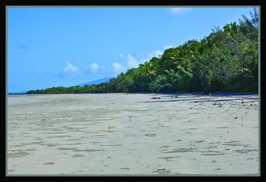 Cape Tribulation Beach in Far North Queensland