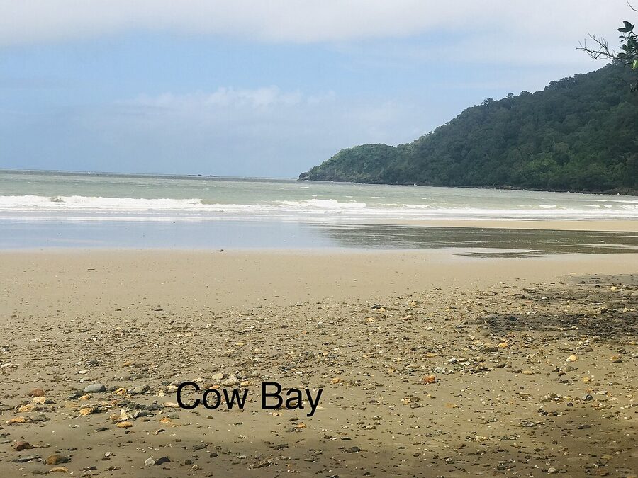 Cow Bay beach in the Daintree