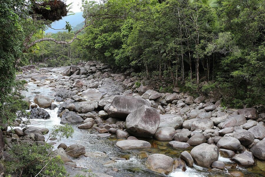 Creek running through Mossman Gorge in Daintree National Park